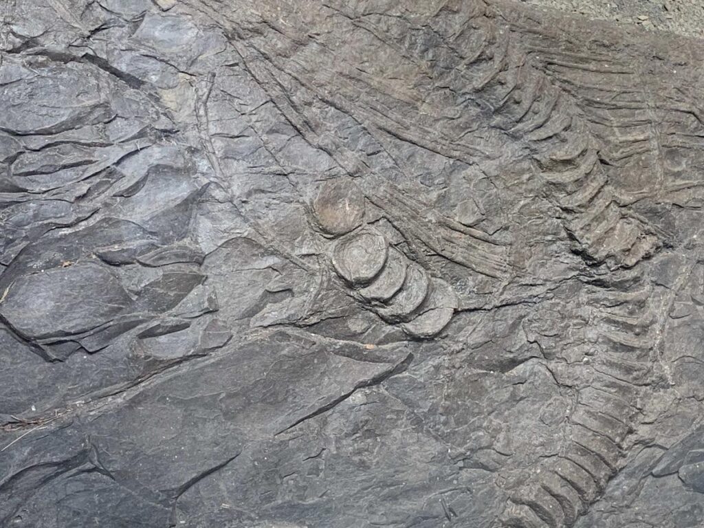 Le canal EDF - Site officiel de l'UNESCO Géoparc de Haute-Provence