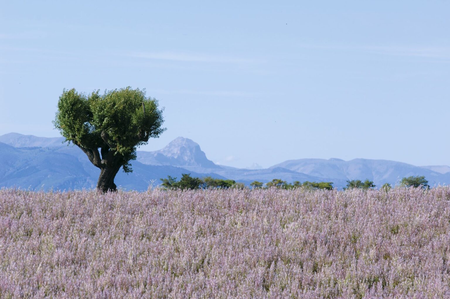 Qu'est-ce qu'un Géoparc ? - Site officiel de l'UNESCO Géoparc de Haute ...
